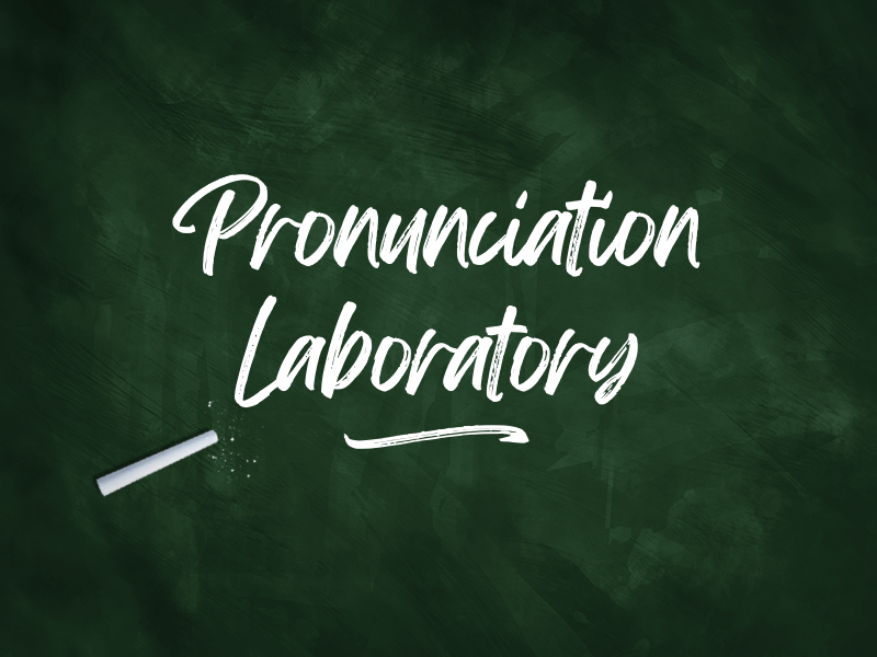 Student Dashboard - Michael's English